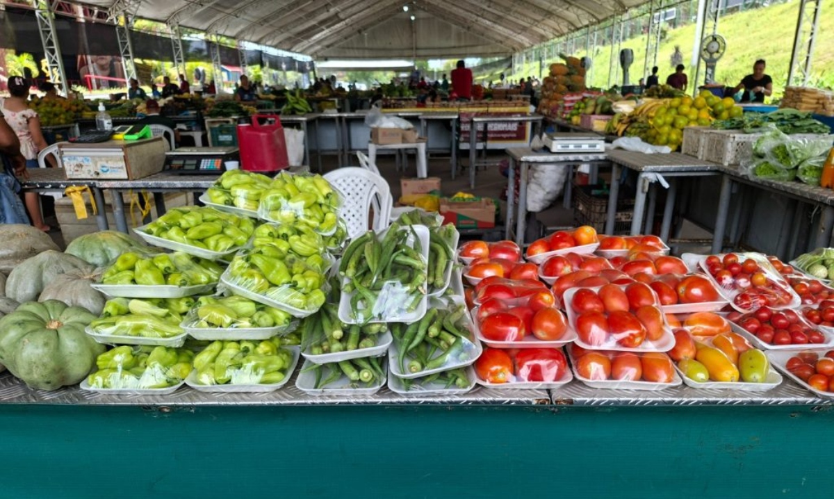 Semana terá dez feiras de produtos regionais em Manaus - O Chefão da ...